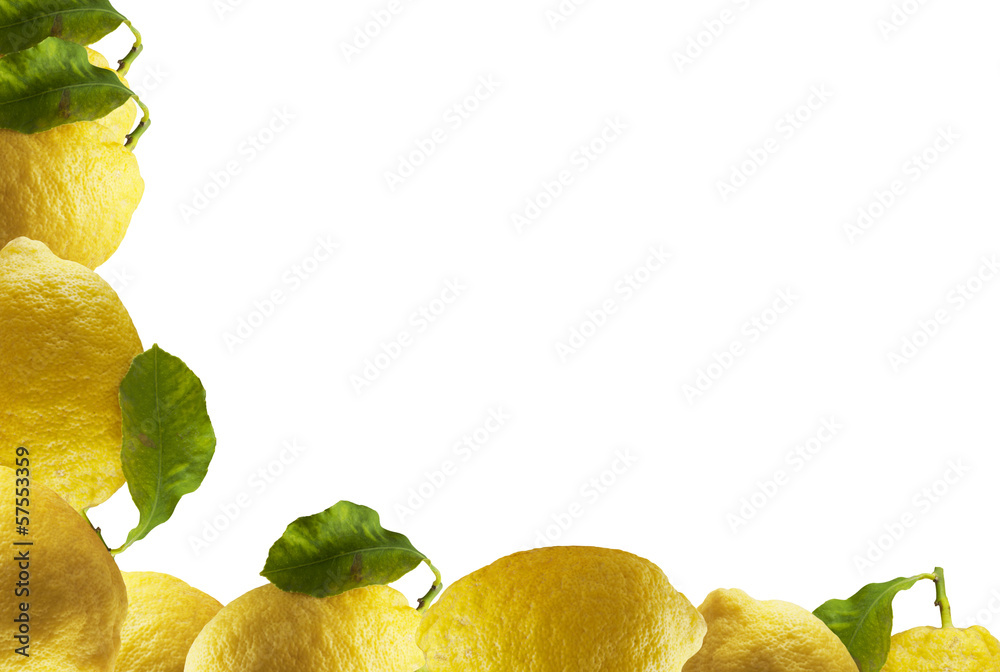 Foto Stock Cornici di Limoni | Adobe Stock