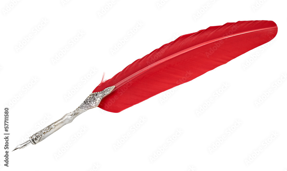 Feather quill isolated on white background Stock Photo | Adobe Stock