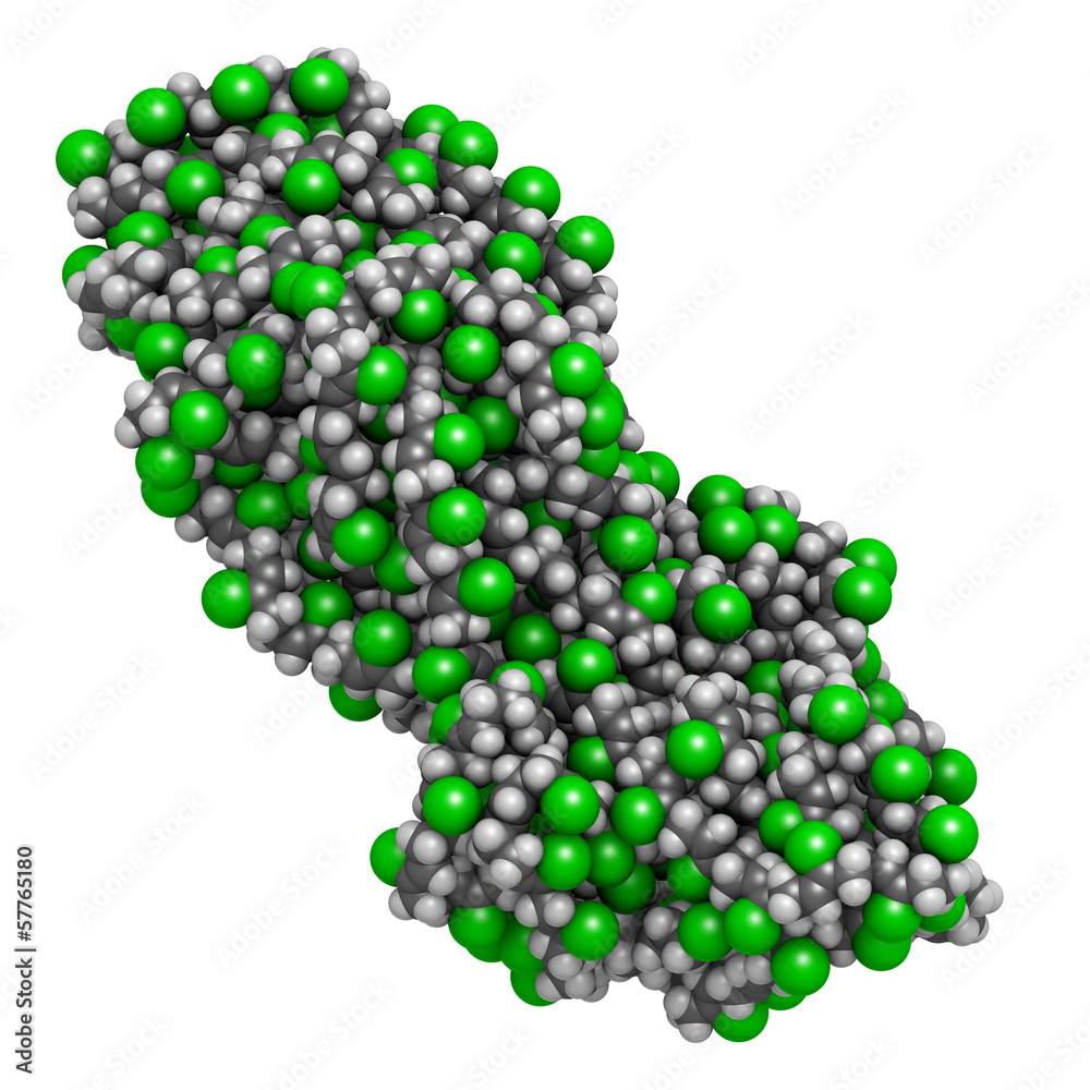 Neoprene (polychloroprene) synthetic rubber, chemical structure. Stock ...
