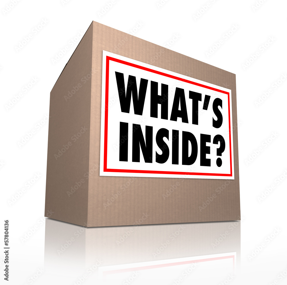What's Inside Cardboard Box Delivery Mystery Carton Stock Illustration ...