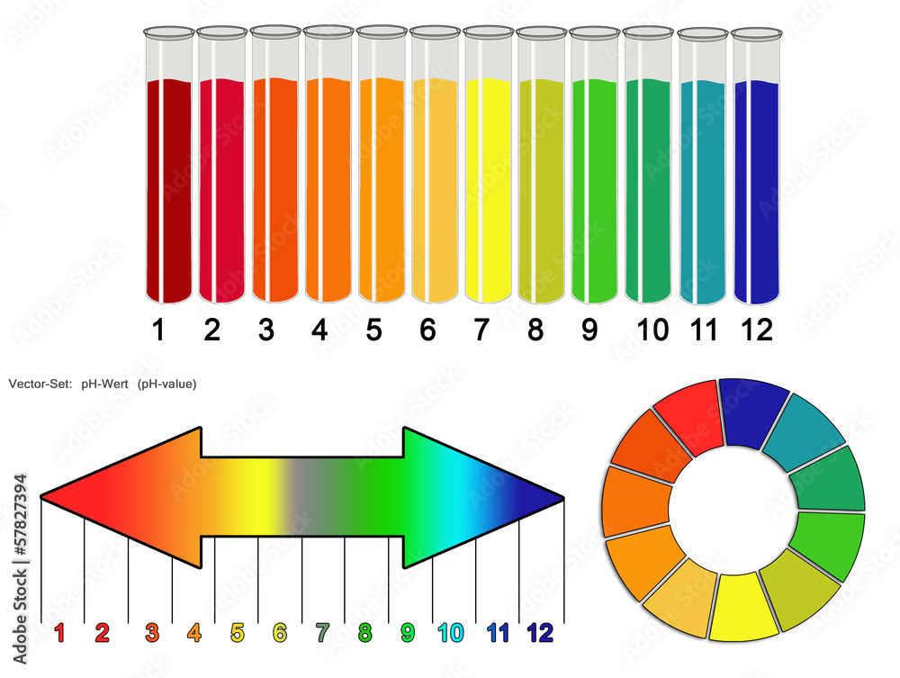 pH-Wert Skala (pH-value scale) Stock Illustration | Adobe Stock