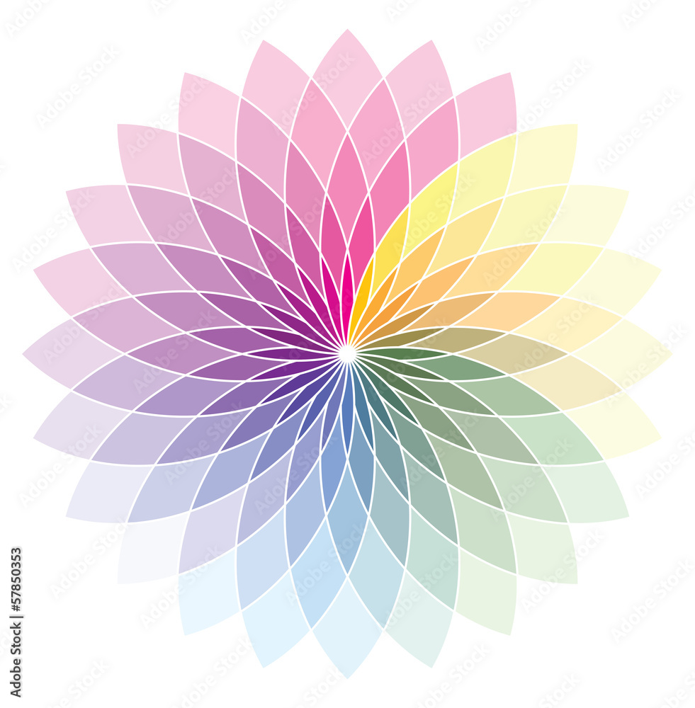 Flower Shapes To Color