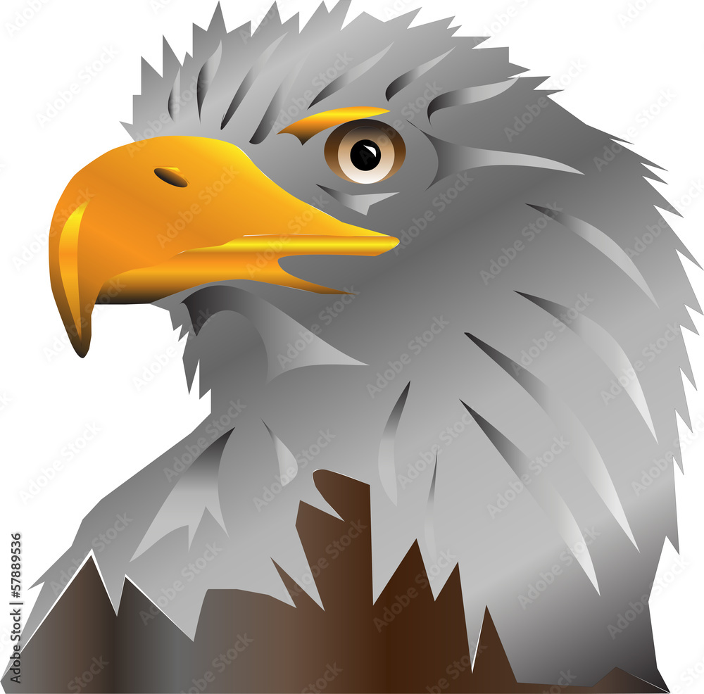 hawk Stock Vector | Adobe Stock
