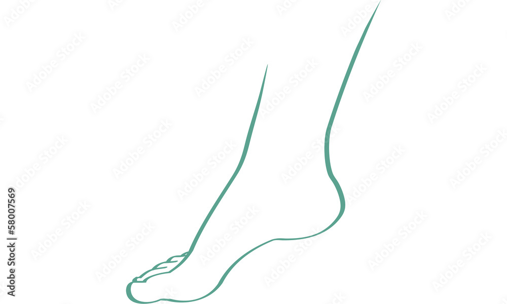 fuss_g Stock Vector | Adobe Stock