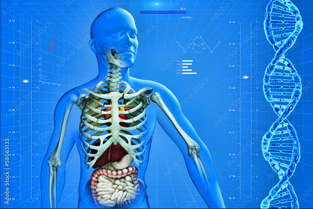 X-Ray of human on high tech background Stock Illustration | Adobe Stock