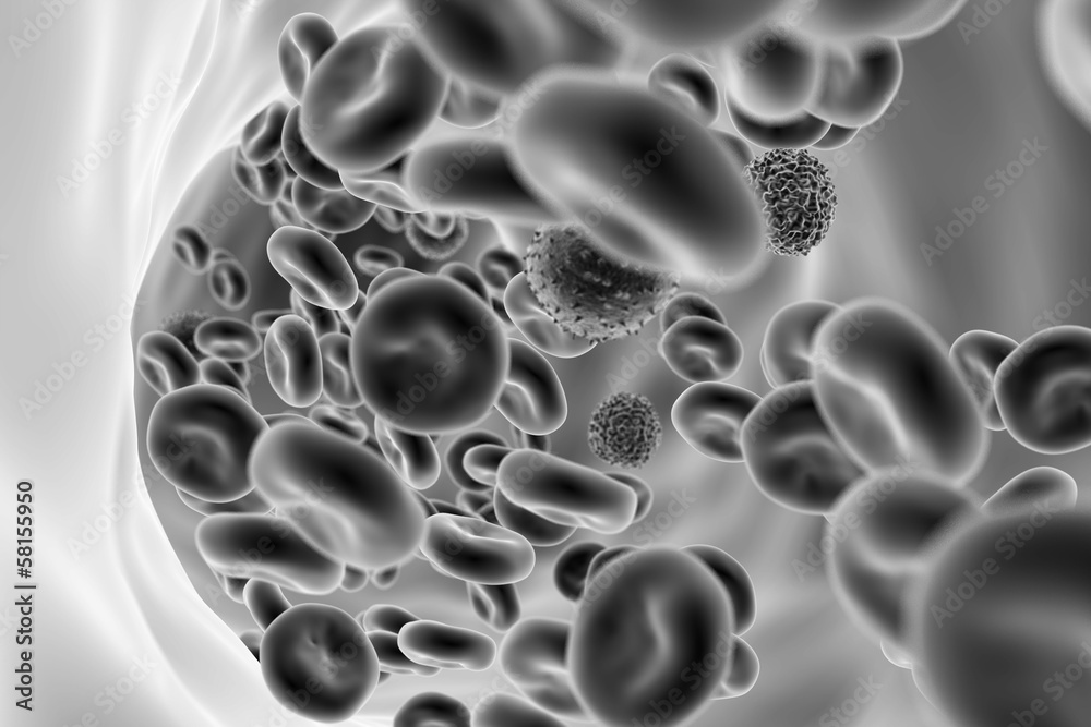 Poster Blood cells , SEM of red & white blood cells – Wall Art | UkPosters