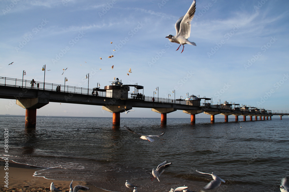 Misdroy/ Polen (Miedzyzdroje) Stock-Foto | Adobe Stock