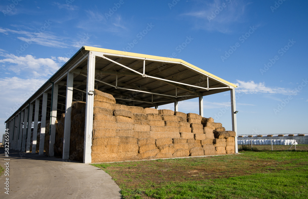 Modern storage of straw bales Stock Photo | Adobe Stock