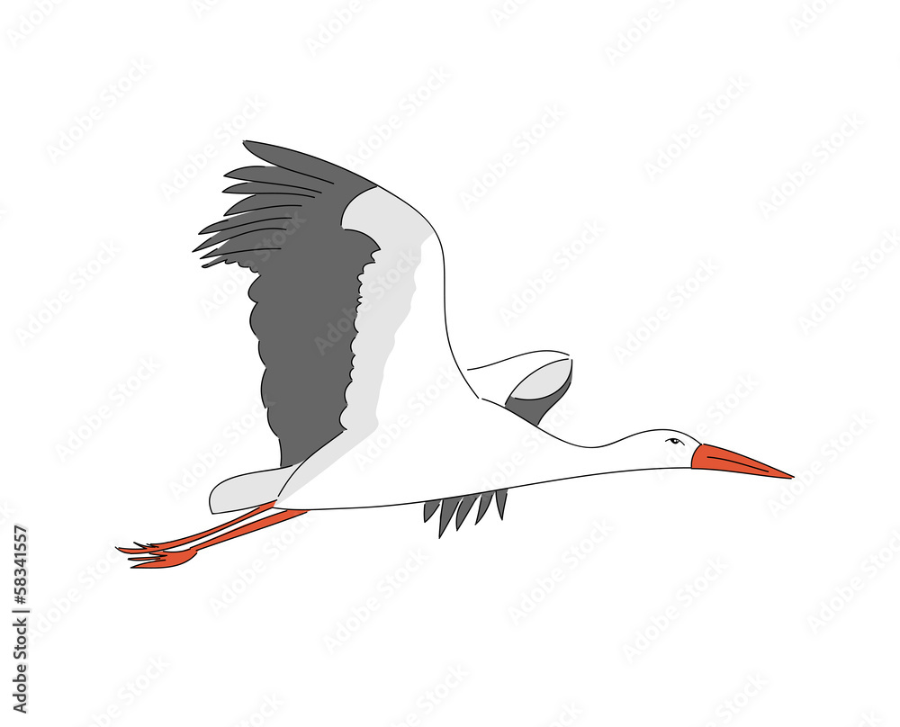 Stork vector illustration Stock Vector | Adobe Stock