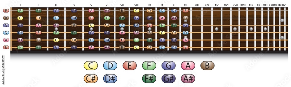 Guitar fretboard chart Stock Vector | Adobe Stock