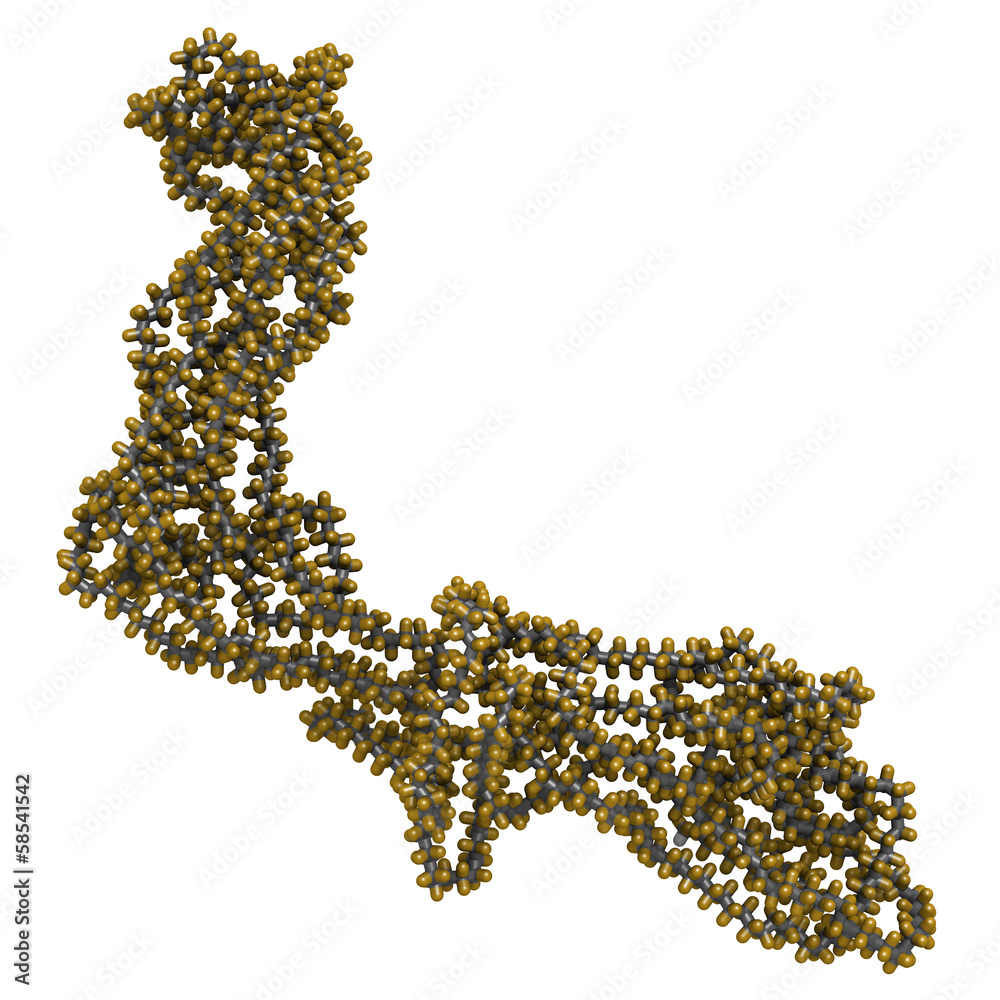 Polytetrafluoroethylene (PTFE) polymer, chemical structure Stock ...