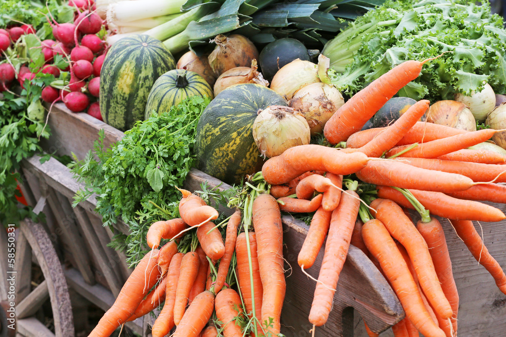 Bio-Gemüse_2 Stock-Foto | Adobe Stock