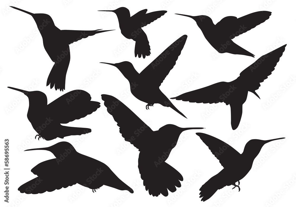 Vector hummingbird of silhouette Stock Vector | Adobe Stock