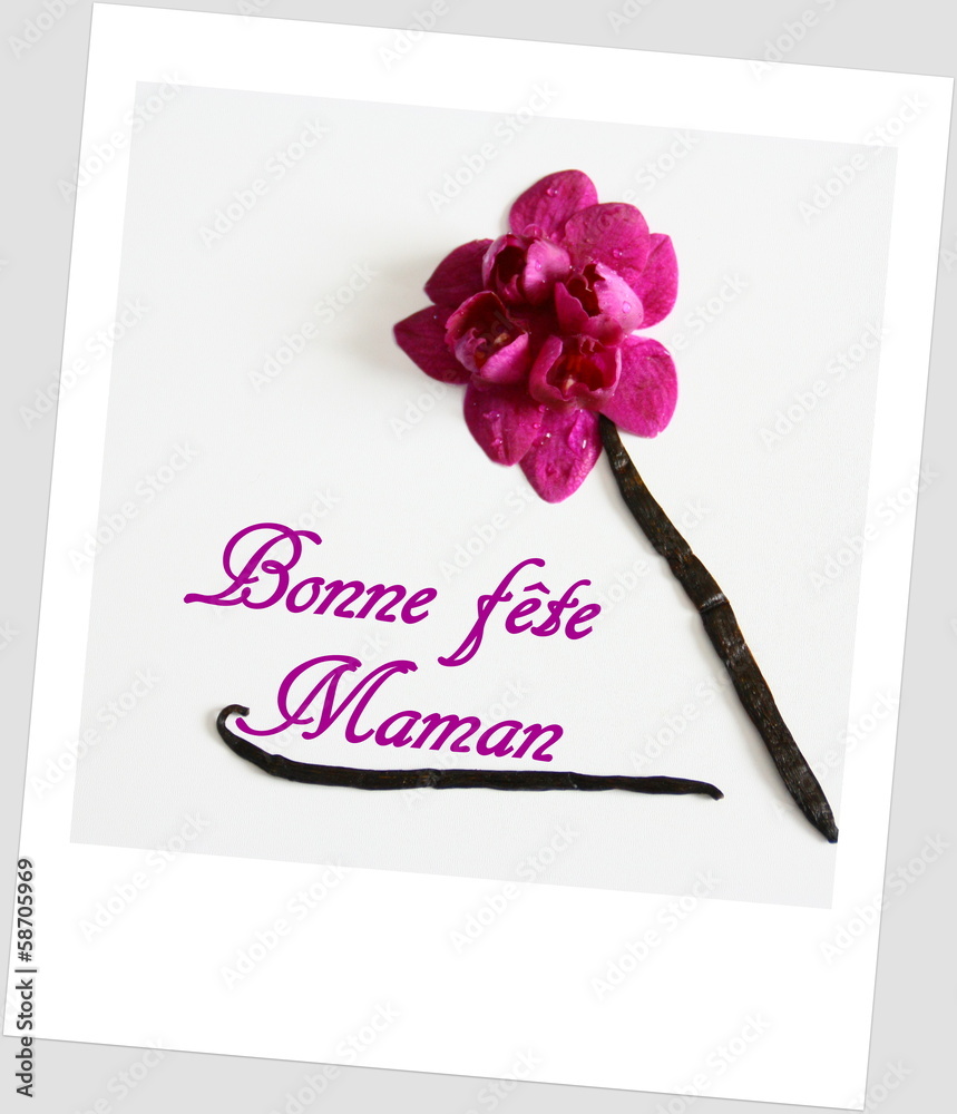 orchidée rose, bonne fête maman,polaroid Stock Photo | Adobe Stock