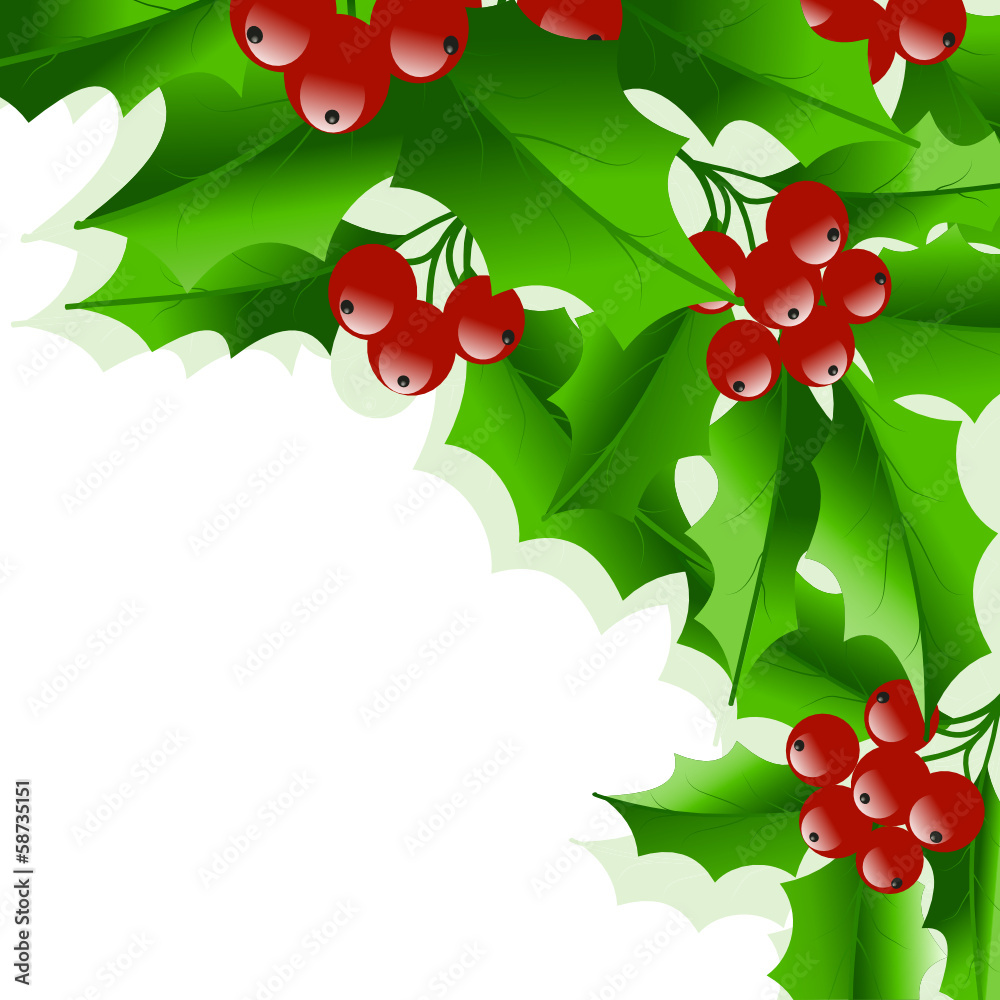 floral,mistel,mistelbeeren,mistelzweig,blätter,weihnachtsdeko,3d Stock ...