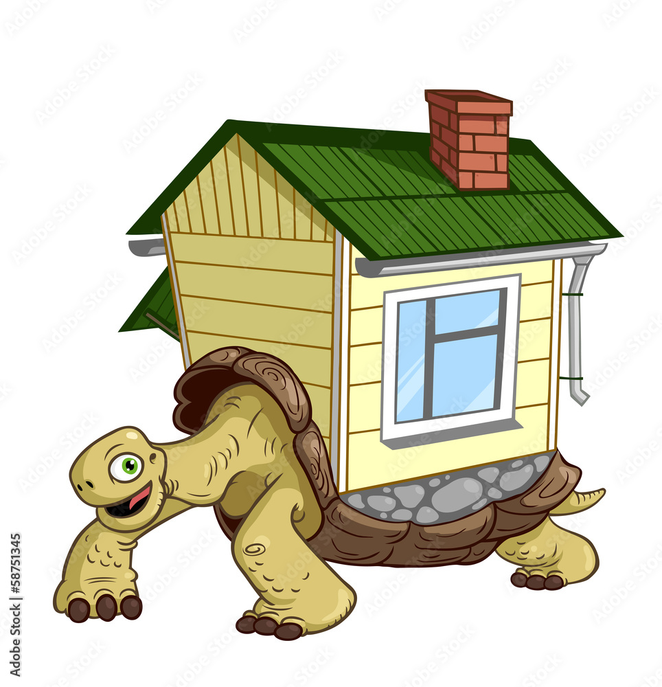 Animated Turtle Shell