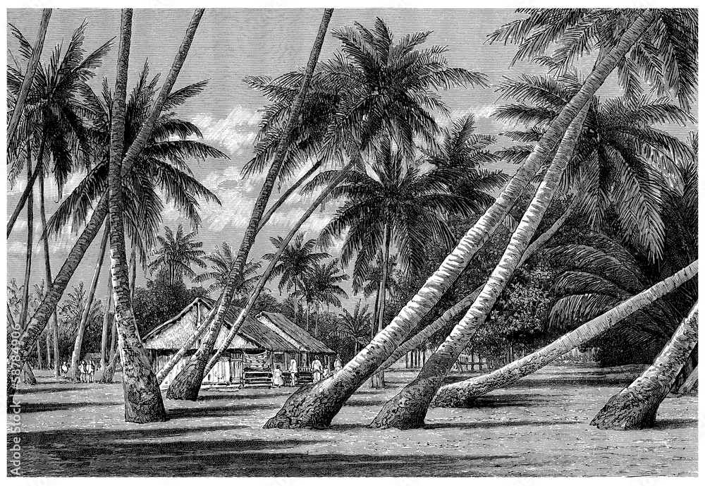 Pacific Islands : Landscape Stock Illustration | Adobe Stock