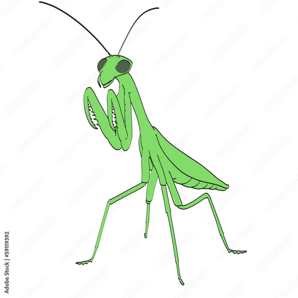 cartoon image of praying mantis Stock Photo | Adobe Stock