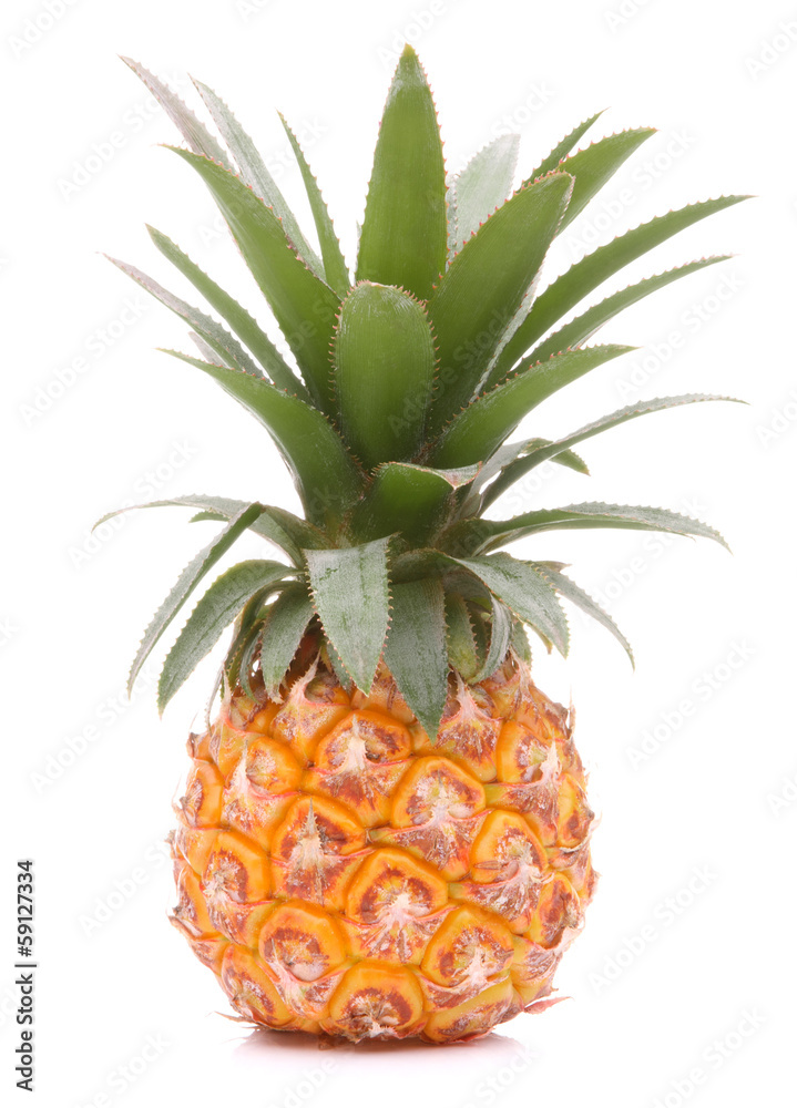 Pineapple tropical fruit or ananas Stock Photo | Adobe Stock