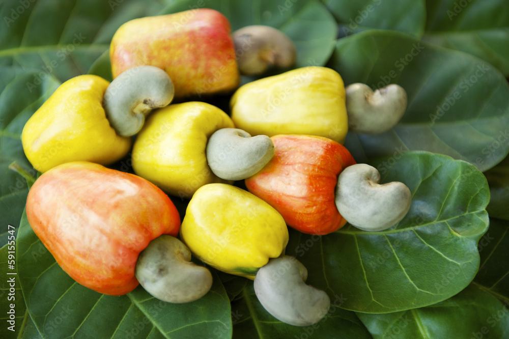 Fresh Ripe Brazilian Caju Cashew Fruit foto de Stock | Adobe Stock