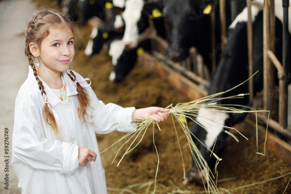 Happy cute little girl in white robe holds hay for cows Stock Photo ...