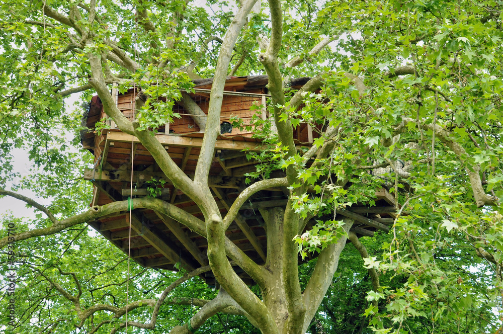 Normandie, wood hut in a tree in the park of Canon castle Stock Photo ...