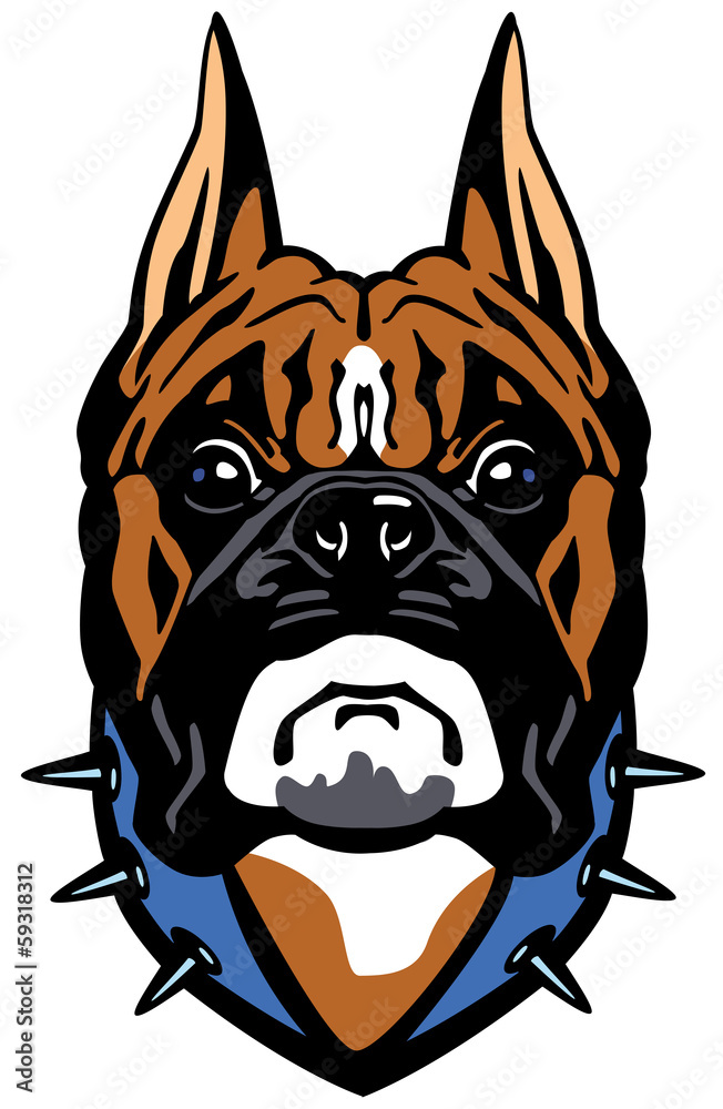 boxer head front view Stock Vector | Adobe Stock