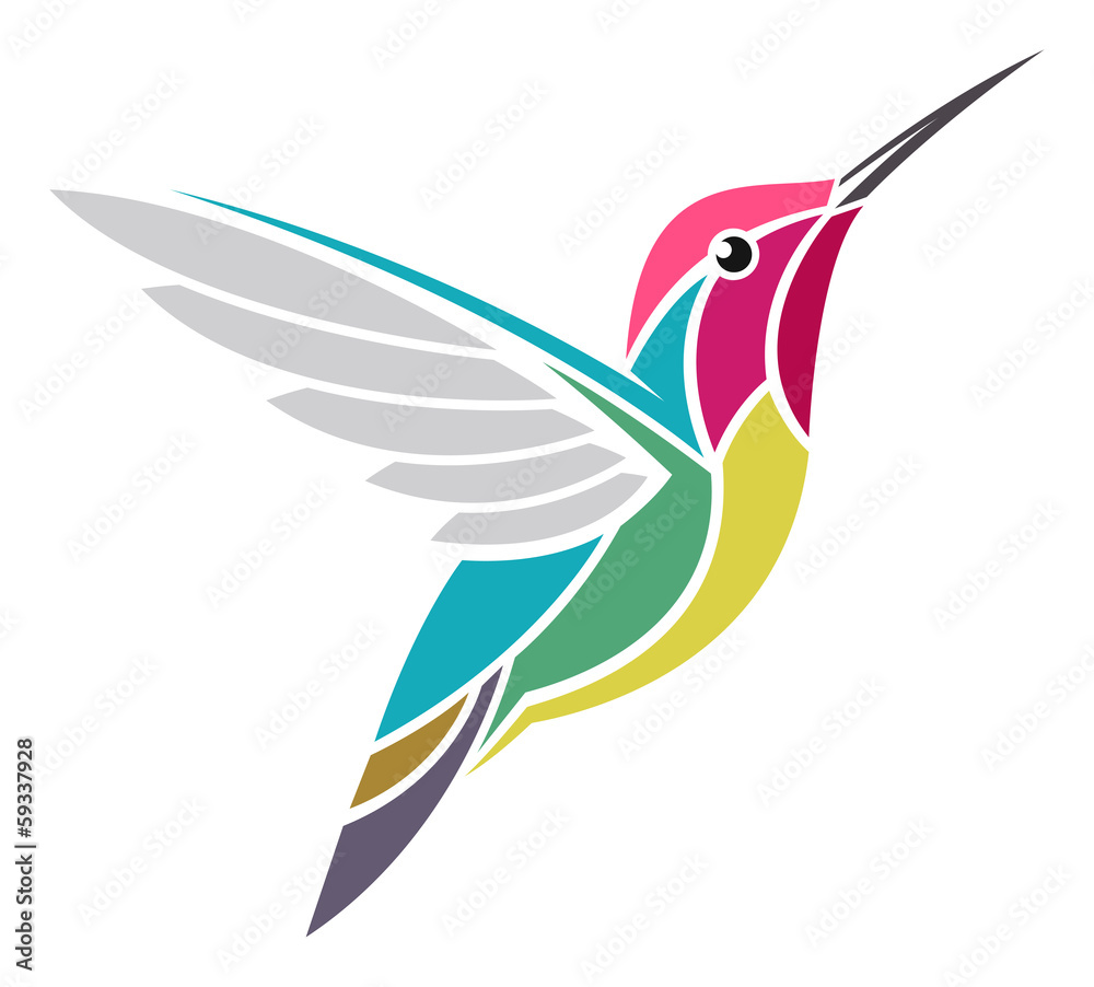 Stockvector Anna's Hummingbird | Adobe Stock