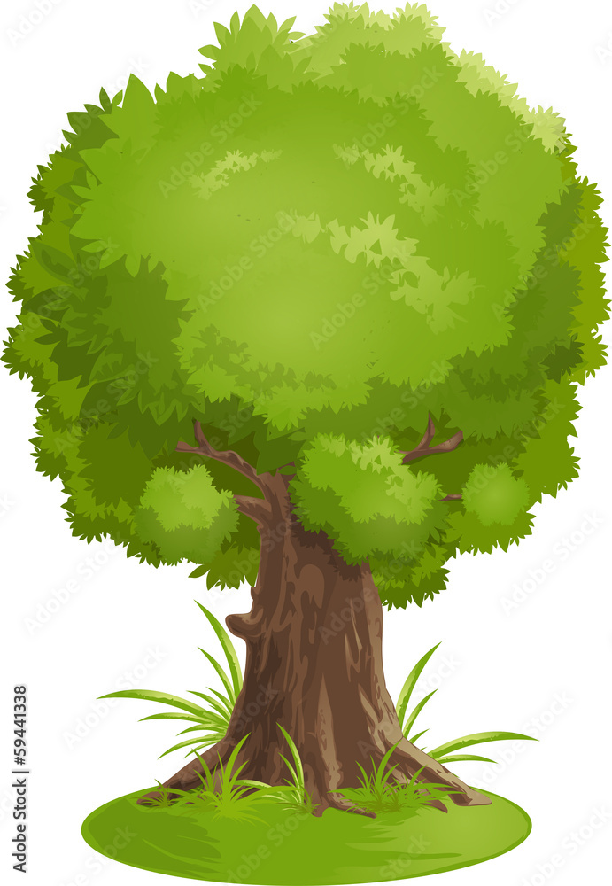 tree Stock Vector | Adobe Stock