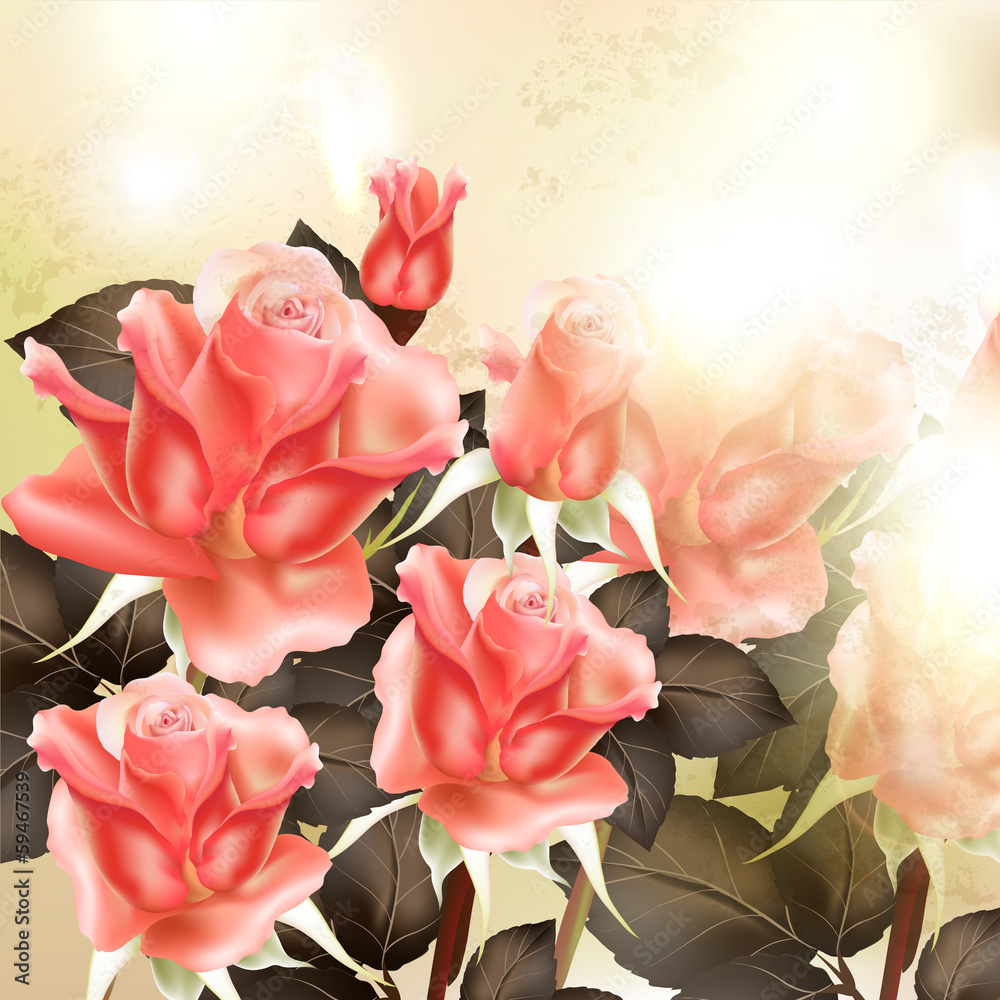 Beautiful vector background with pink detailed roses Stock Vector ...