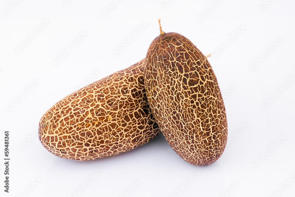 Sikkim Cucumber (Cucumis sativus var. sikkimensis ) Stock 写真 | Adobe Stock