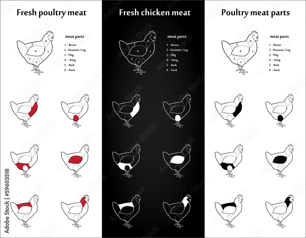 Chicken meat parts Icons for packaging and infographic 1 Stock Vector ...