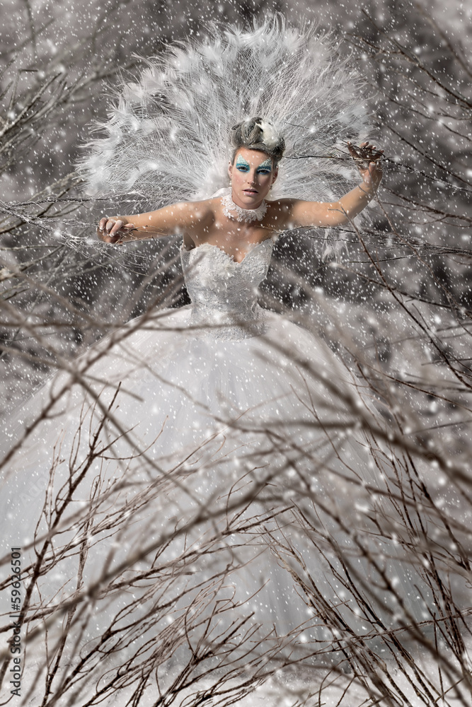 Snow queen Stock Photo | Adobe Stock