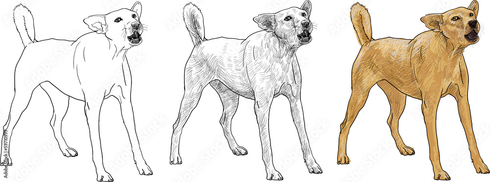 Barking dog Stock Vector | Adobe Stock