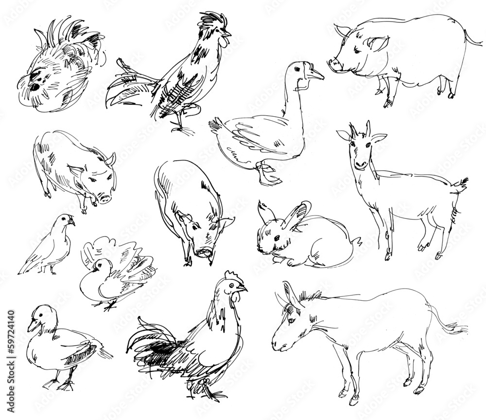 Farm animals. Set. Hand-drawn Stock Photo | Adobe Stock