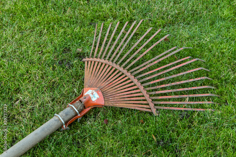 Laubrechen Stock-Foto | Adobe Stock