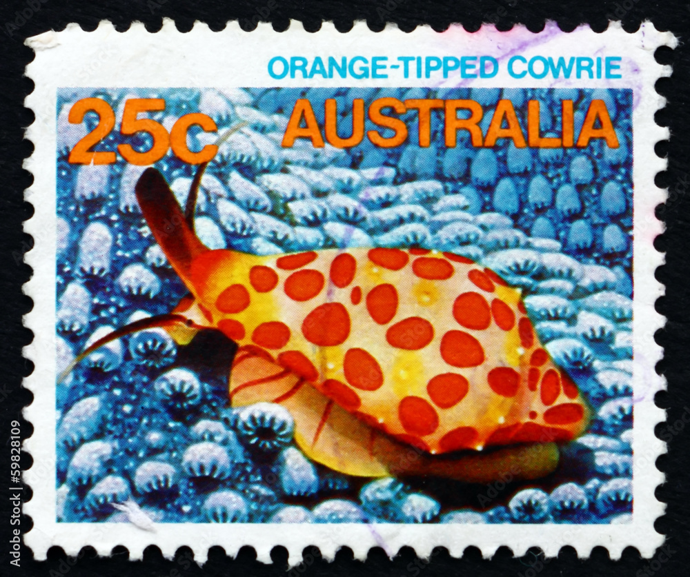 Postage stamp Australia 1984 Orange-tipped Cowrie, Marine Life Stock ...