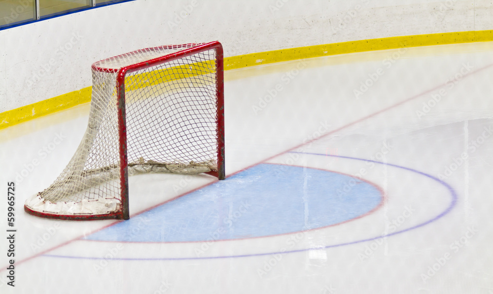 Nhl Hockey Goal Dimensions