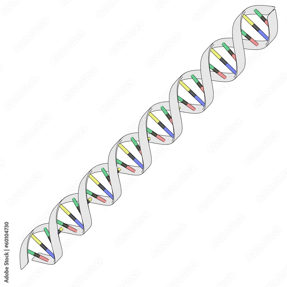 cartoon image of DNA structure Stock Illustration | Adobe Stock