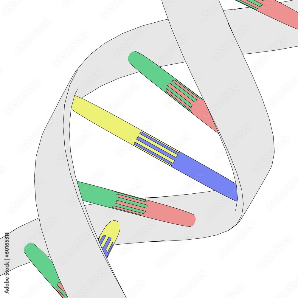 cartoon image of DNA structure Stock Illustration | Adobe Stock