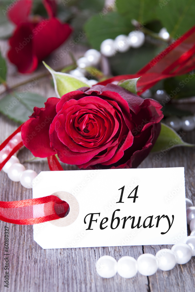 Rosy Background Stock Photo | Adobe Stock