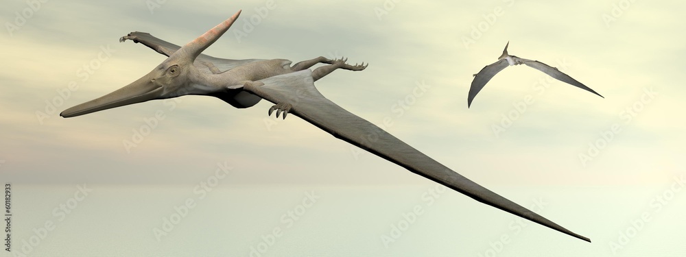 Pteranodon dinosaurs flying - 3D render Stock Illustration | Adobe Stock