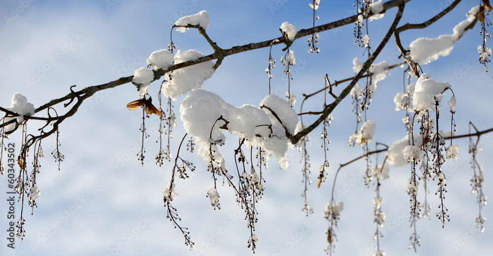 fonte des neiges.... Stock Photo | Adobe Stock