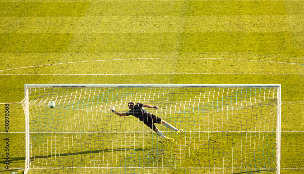 Goalkeeper Diving Save