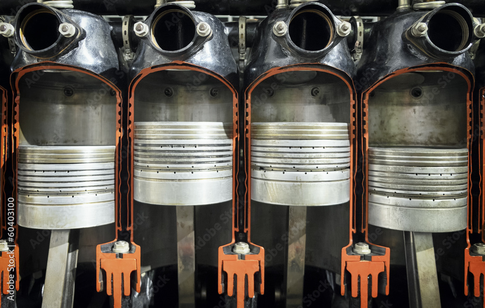 cylinder - cross section Stock Photo | Adobe Stock