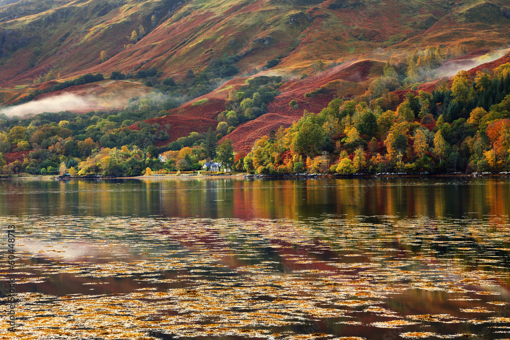 Autumn colours in the Highlands of Scotland, UK, Europe Stock Photo ...
