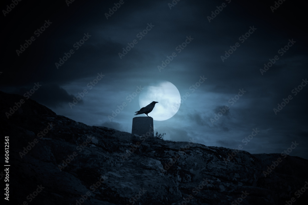 Full moon crow Stock Photo | Adobe Stock