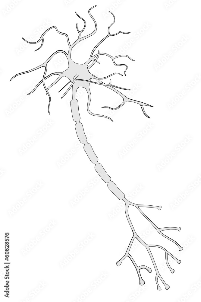 cartoon image of human neuron Stock Illustration | Adobe Stock
