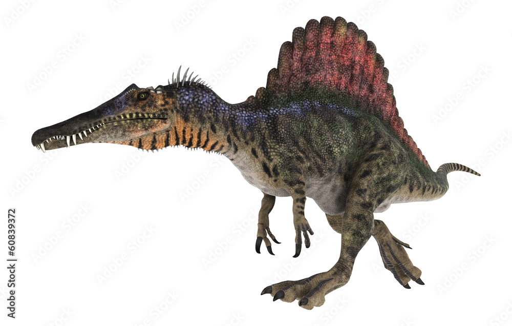 Dinosaur Spinosaurus Stock Illustration | Adobe Stock