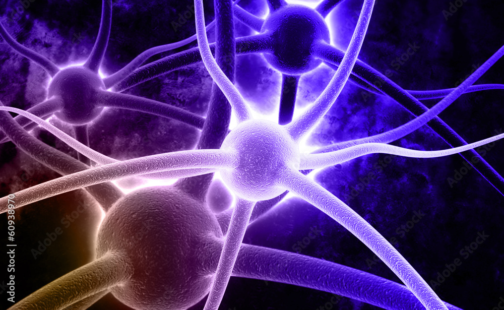 Neuron Stock-Illustration | Adobe Stock